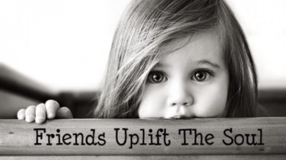 Take a Seat, Make a Friend – Wondrlust